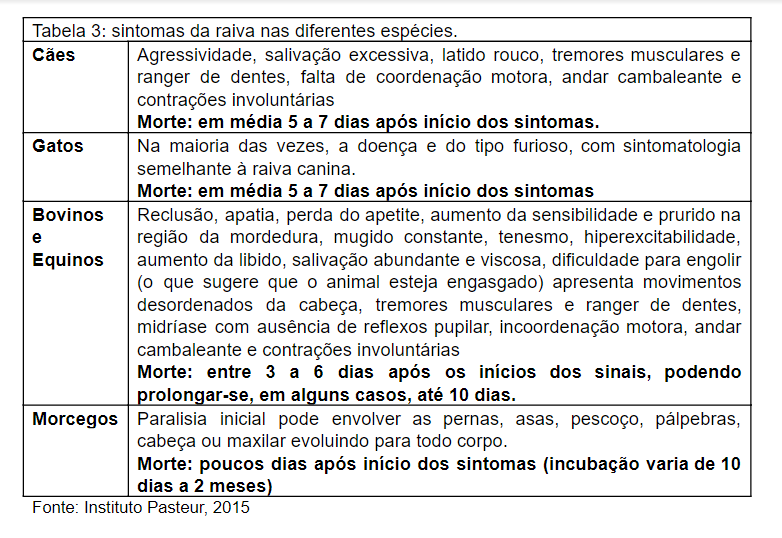 Concursos: tudo que você precisa saber sobre Raiva - Ifope Blog